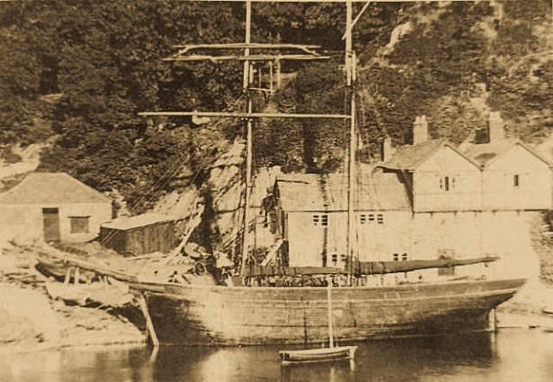 Jane Slade's Instagram, Twitter & Facebook on IDCrawl