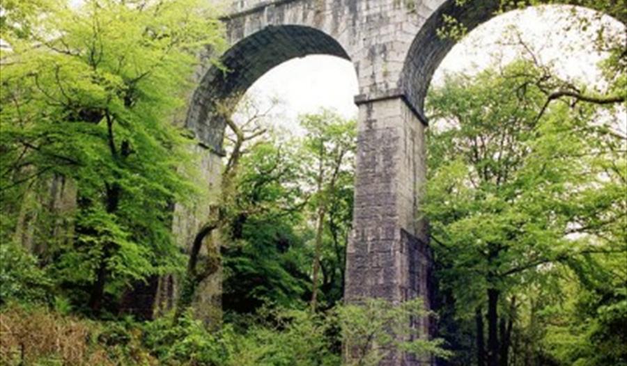 Treffry Viaduct - Historic Site in St Austell, Restormel - Fowey