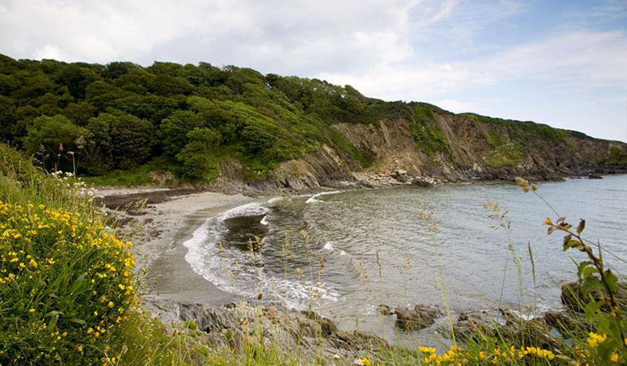 Polridmouth Cove - Beach in Menabilly, Restormel - Fowey